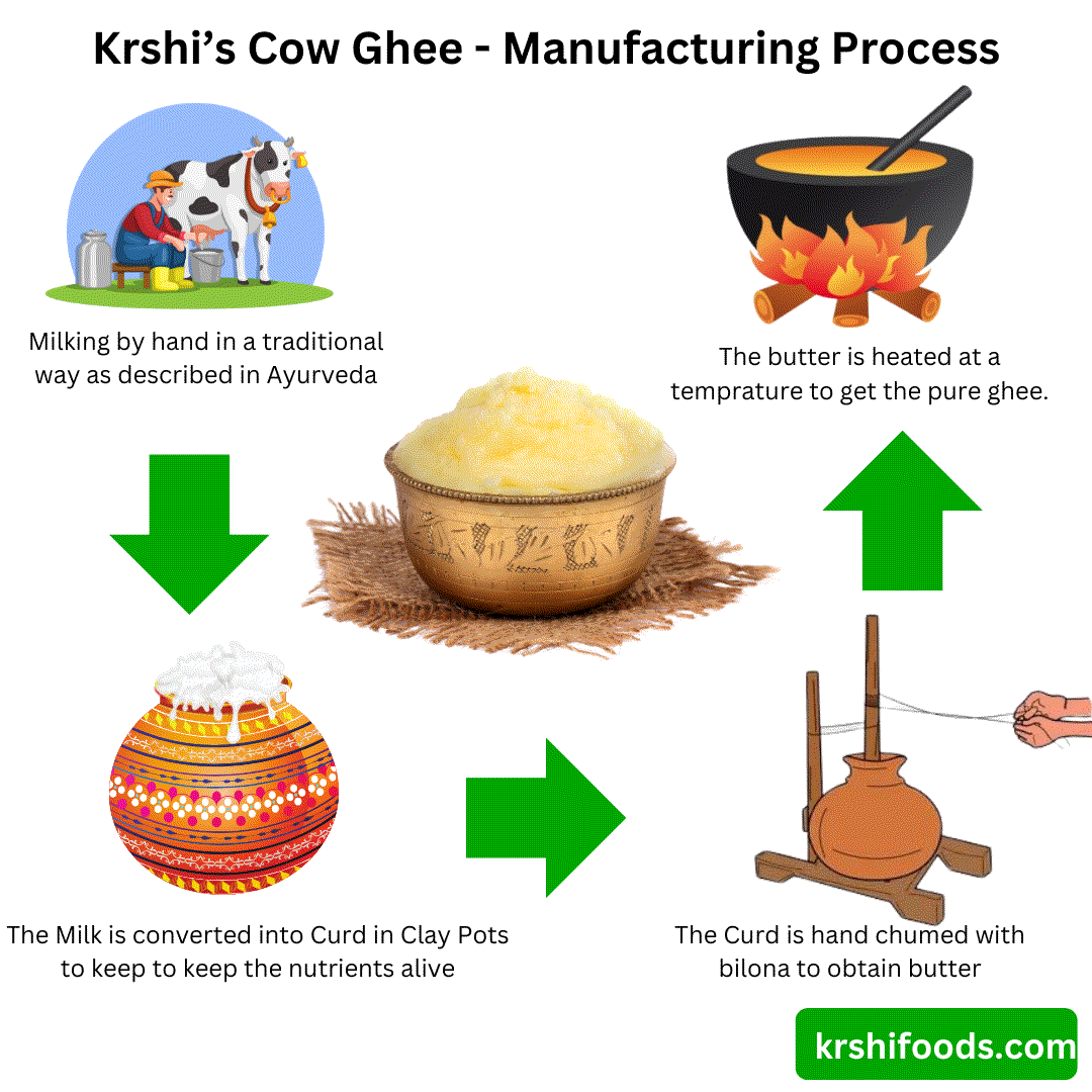 Rasipuram Cow Ghee - Vedic Method of Preparation in small batches ...